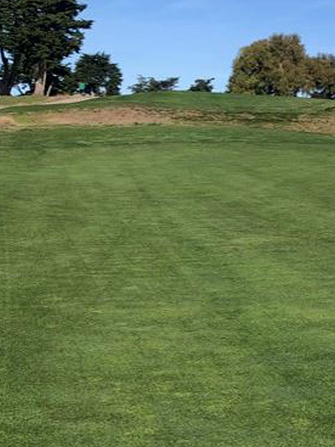 Book Tee Times - Bayonet